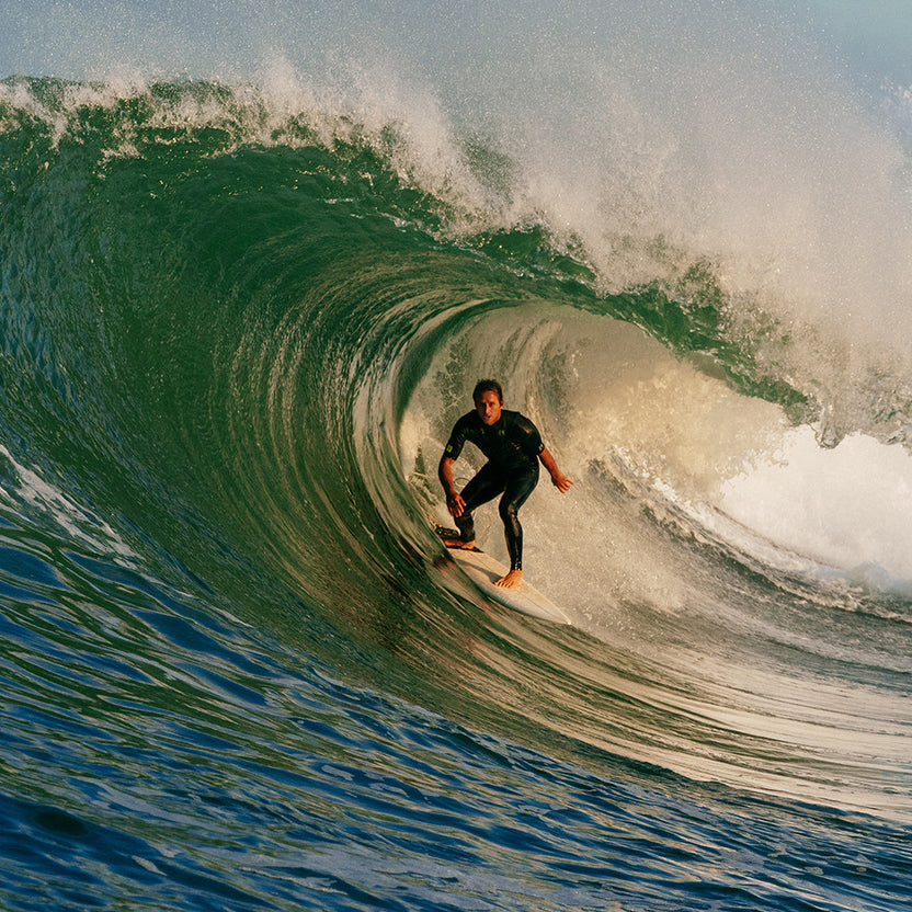 DANTE – Matuse, Inc